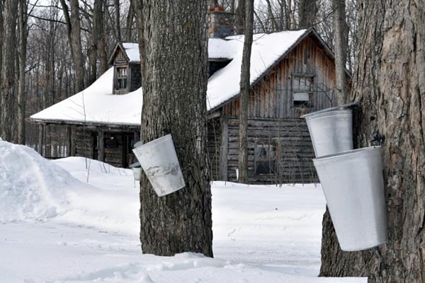 The Traditional French-Canadian Sugar Shack Meal. What's it All About?